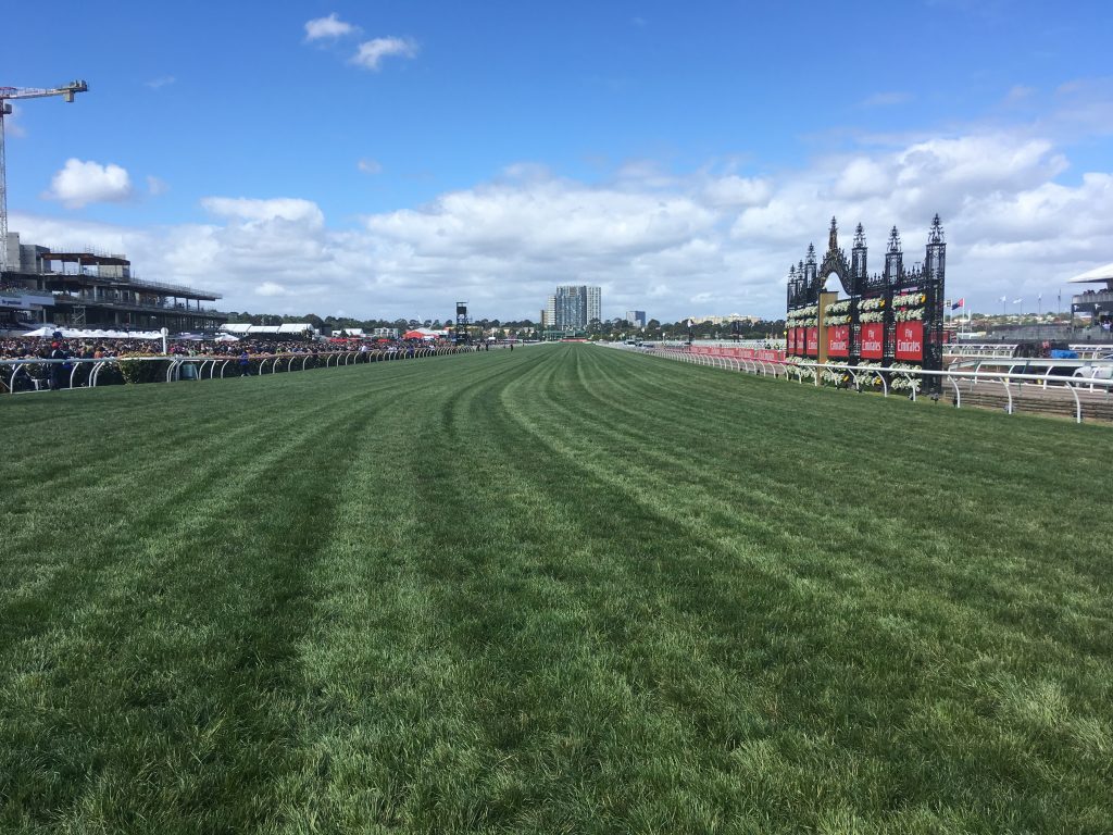 Decadence, the length of the Flemington straight - Ian Wilson